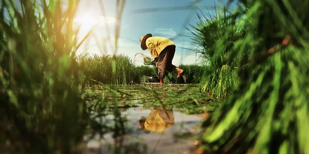 Winter Activities - Aire Farms